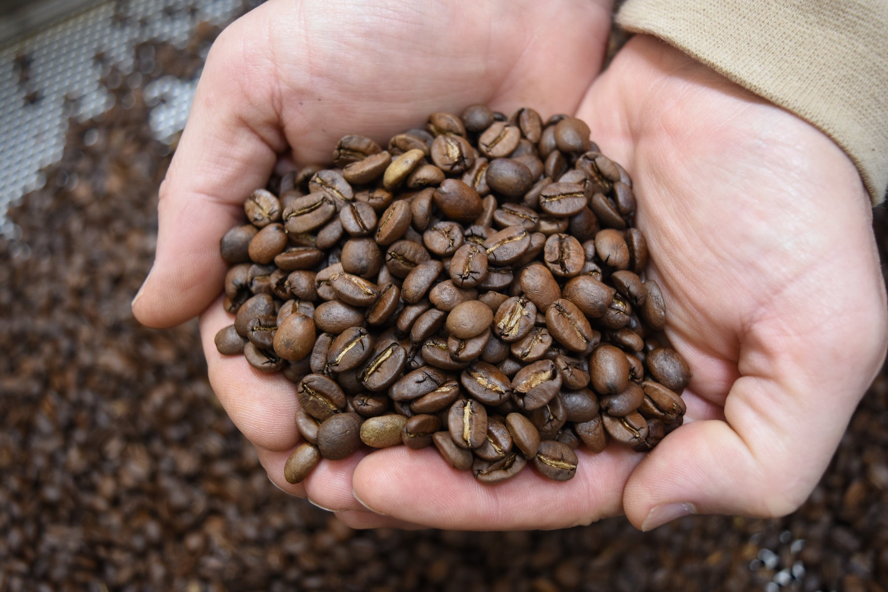 Coffee – Talking Crow Coffee Roasters, LLC