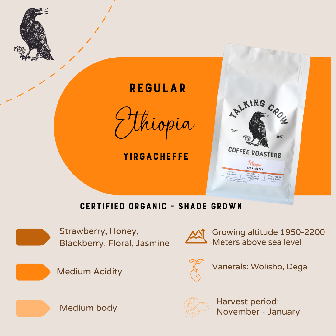 Regular Ethiopia Yirgacheffe – Talking Crow Coffee Roasters, LLC